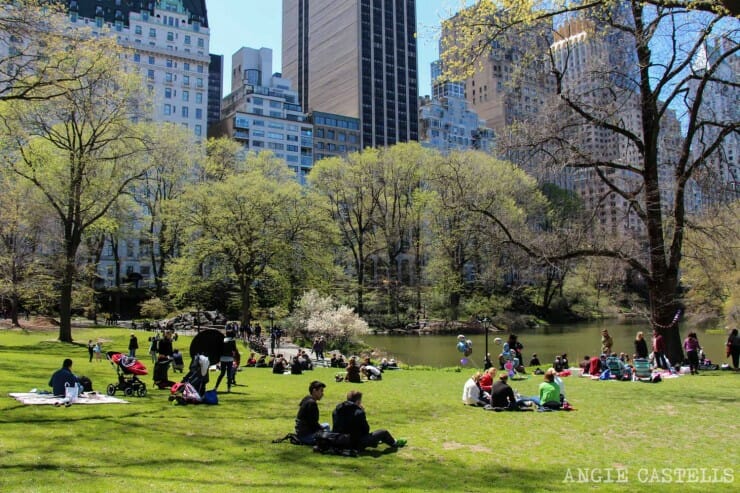 La primavera en Nueva York - El tiempo + 15 planes geniales