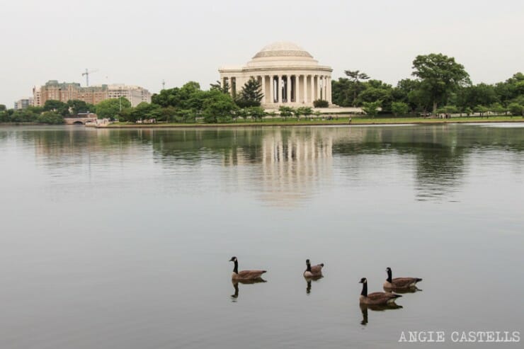 Qué ver en Washington DC en 1 o 2 días - Rutas y consejos