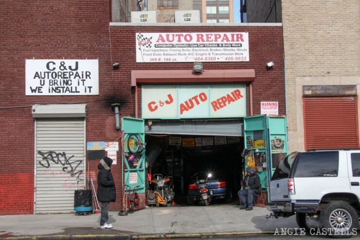 Visitar el Bronx por libre - 10 planes para todos los gustos