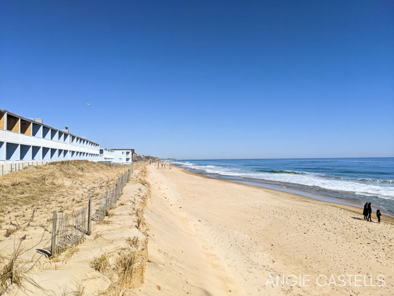 Excursión a los Hamptons desde Nueva York + Mapa
