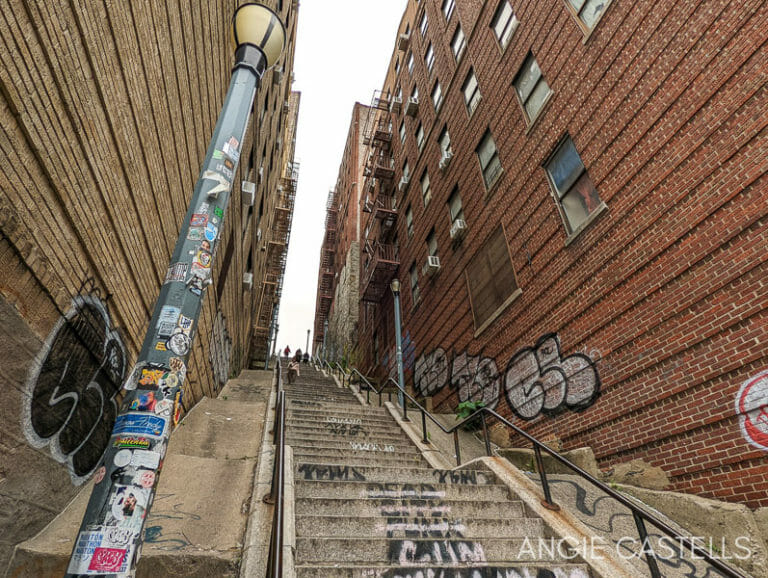 Visitar el Bronx por libre - 10 planes para todos los gustos