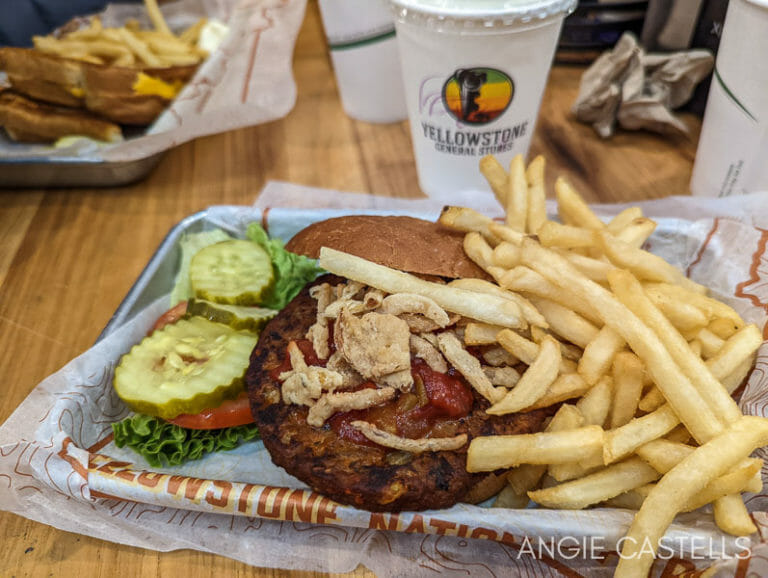 Visitar Yellowstone y Grand Teton - Preparativos y consejos