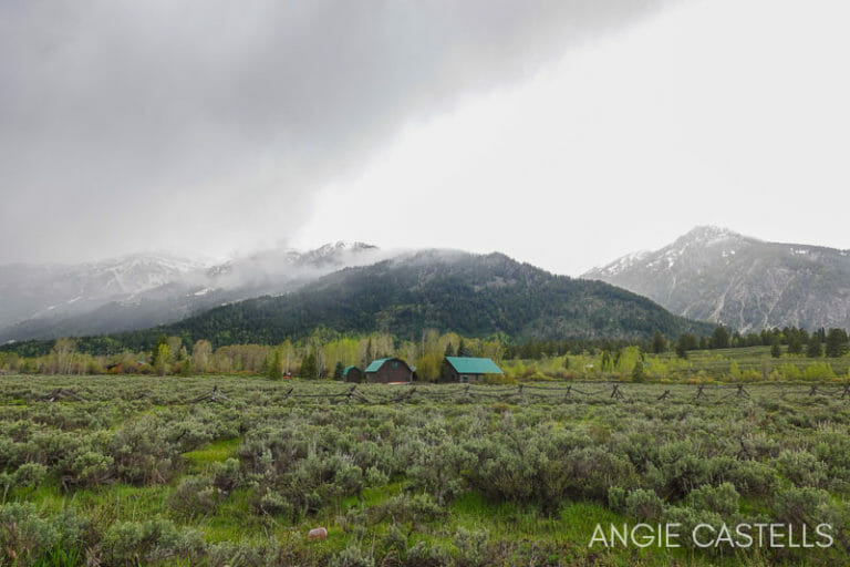 Qué ver en Grand Teton National Park en 1 o 2 días - Ruta y consejos